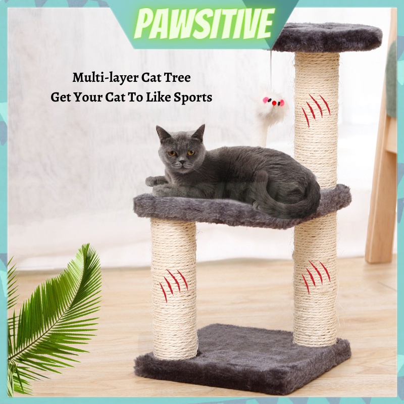 PAWSITIVE Cat Tree Cat Scratcher Cat Toy Cat Toys For Cats/Cat Scratch ...