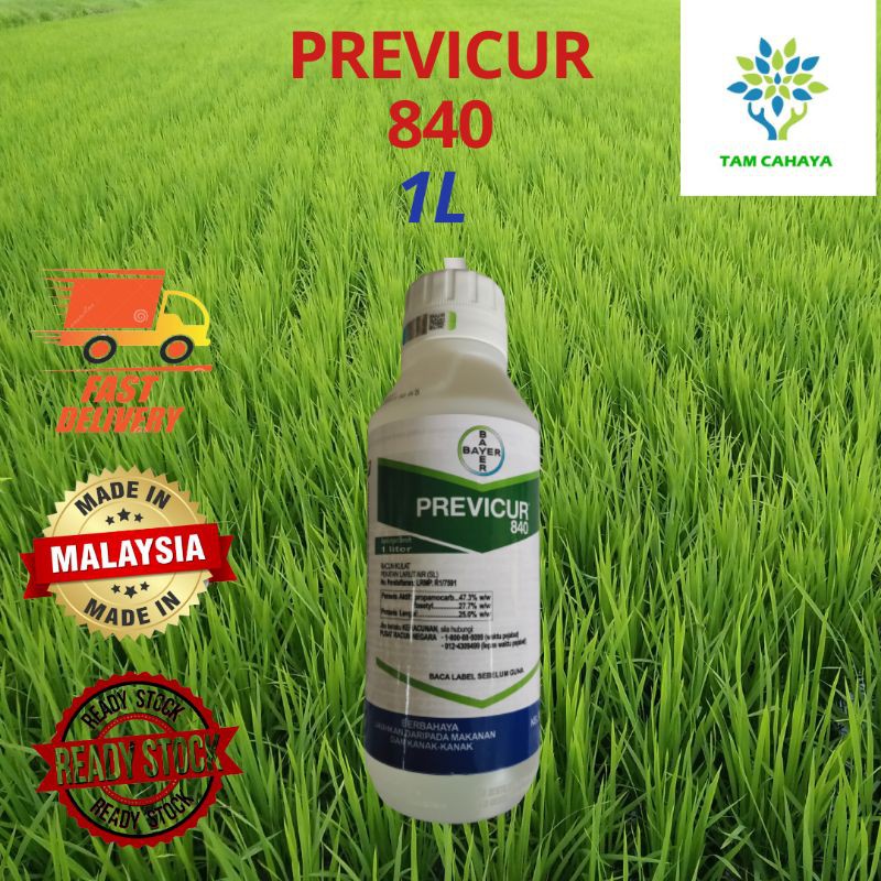 BAYER PREVICUR 840 1L ( Racun Kulat Sistemik Rawatan Anak Benih Kulapuk ...