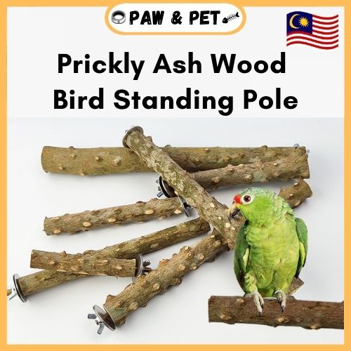READY STOCK Natural Prickly Ash Wooden Bird Standing Pole With Lumpy ...