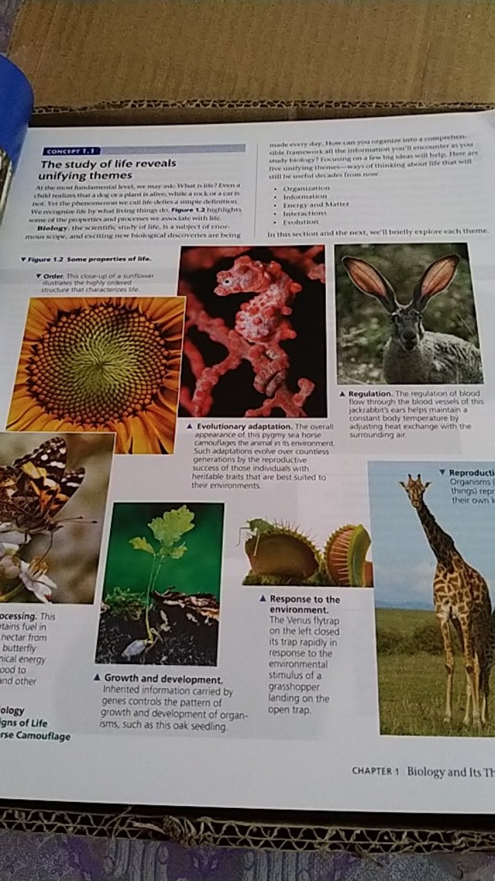 Campbell Biology 12th edition | Shopee Malaysia