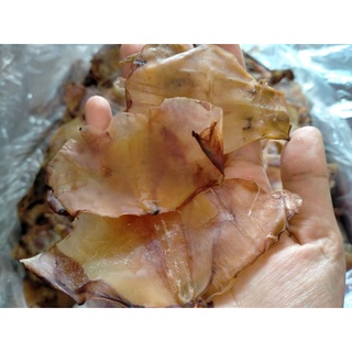 Sotong kering sotong sayap lembut gredAAA | Shopee Malaysia