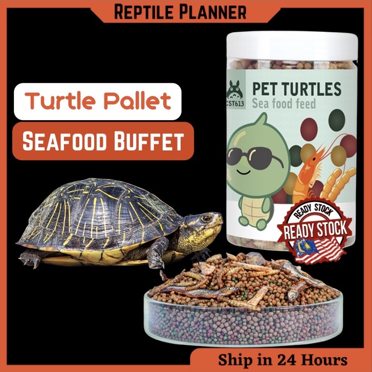 Josanthy Turtle Food Seafood Buffet Formula Turtle Pallet Colour ...