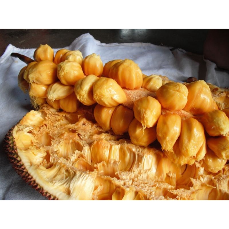 Buah cempedak Madu Isi Manis Dan oren Ch28 Berat 3 kilo | Shopee Malaysia