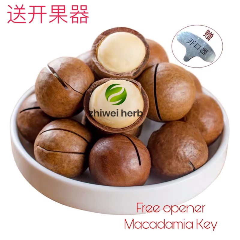 [Australian Macadamias] 500gram macadamia Nuts with shell 澳大利亚烤夏威夷果 ...