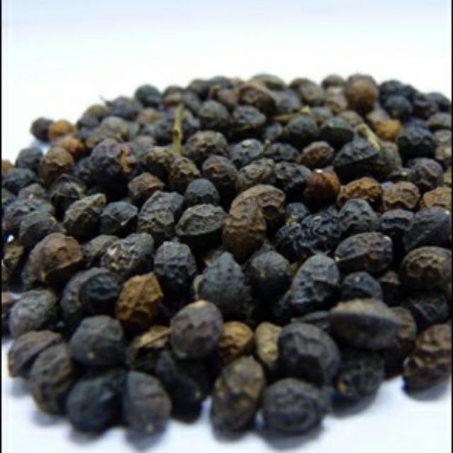 Biji Melada Pahit kering: petua bisul, kencing manis, darah tinggi ...