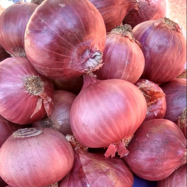 Bawang Besar Bombay / Red Onion [Ready Stock] | Shopee Malaysia
