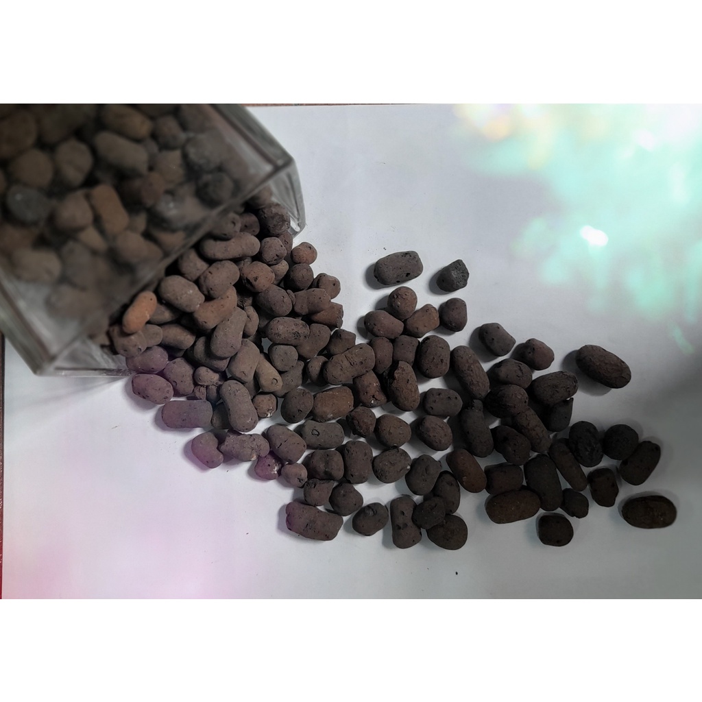 Black Hydro Stone Clay Ball Leca (+/-500g) | Shopee Malaysia