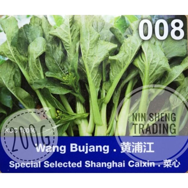 200g leckat special selected shanghai caixin wang bujang 008/sawi hijau/黄浦江菜心 | BeeCost