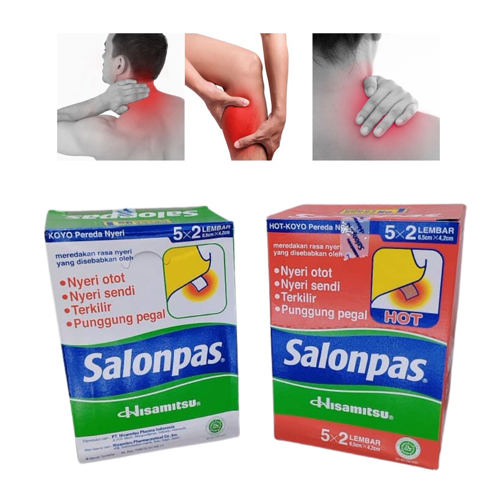 HISAMITSU SALONPAS PAIN RELIEF PATCH 1 PACK 10 PCS | Shopee Malaysia