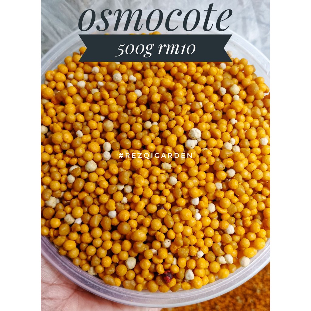 Osmocote Slow Released Fertilizer (500g) #rezqigarden | Shopee Malaysia