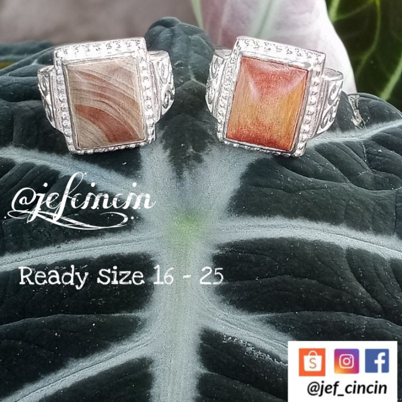 Raja kayu Putih/Raja kayu Merah (petak Alpaka) | Shopee Malaysia