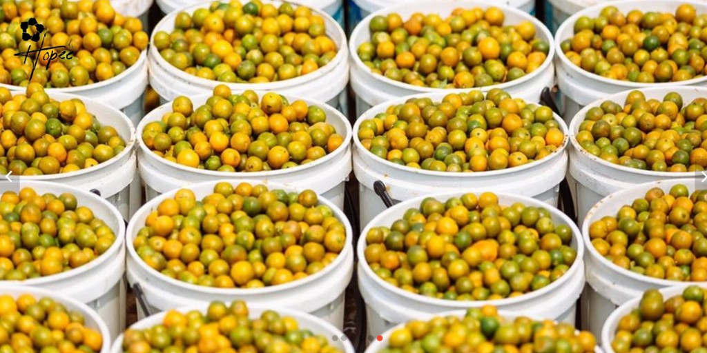 Low Sugar Lab, Online Shop | Shopee Malaysia