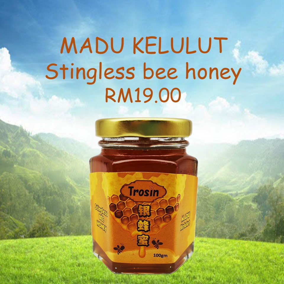 Madu Kelulut Asli 100% original Stingless Bee Honey 银蜂蜜(100gm) | Shopee ...
