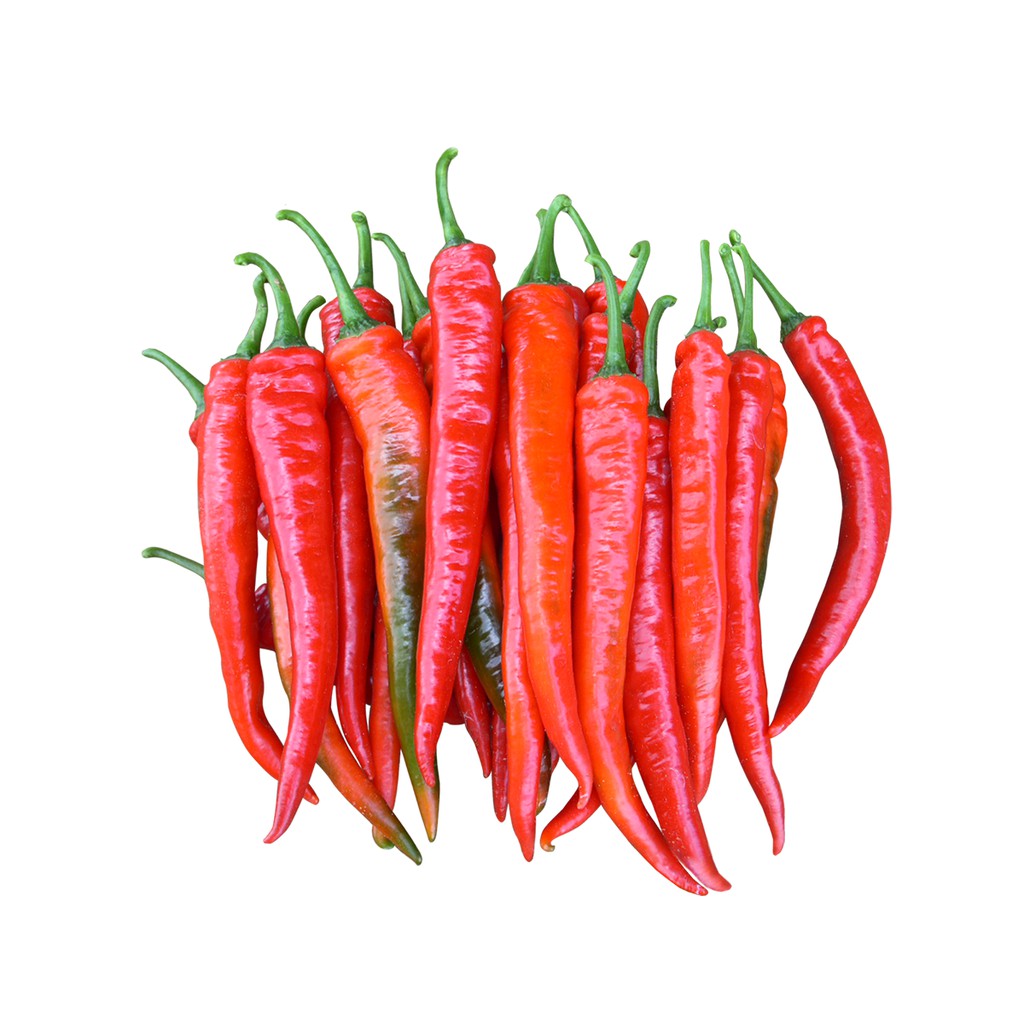 Biji Benih : Cili Merah (20 biji) / Big Chili Seeds (Chilli) | Shopee ...