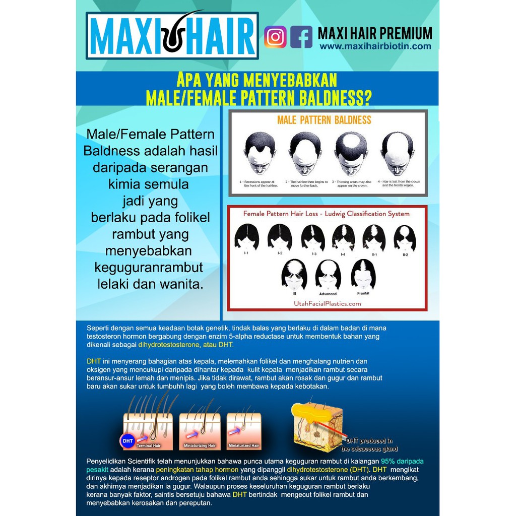 (FullSet) Vitamin Pelebat/Penumbuh Rambut Gugur, Botak DHT Blocker Maxi ...