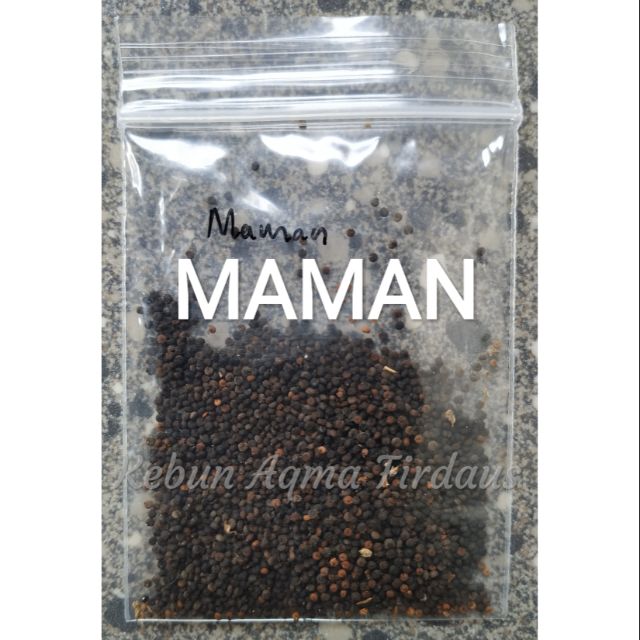 BIJI BENIH POKOK MAMAN | Shopee Malaysia