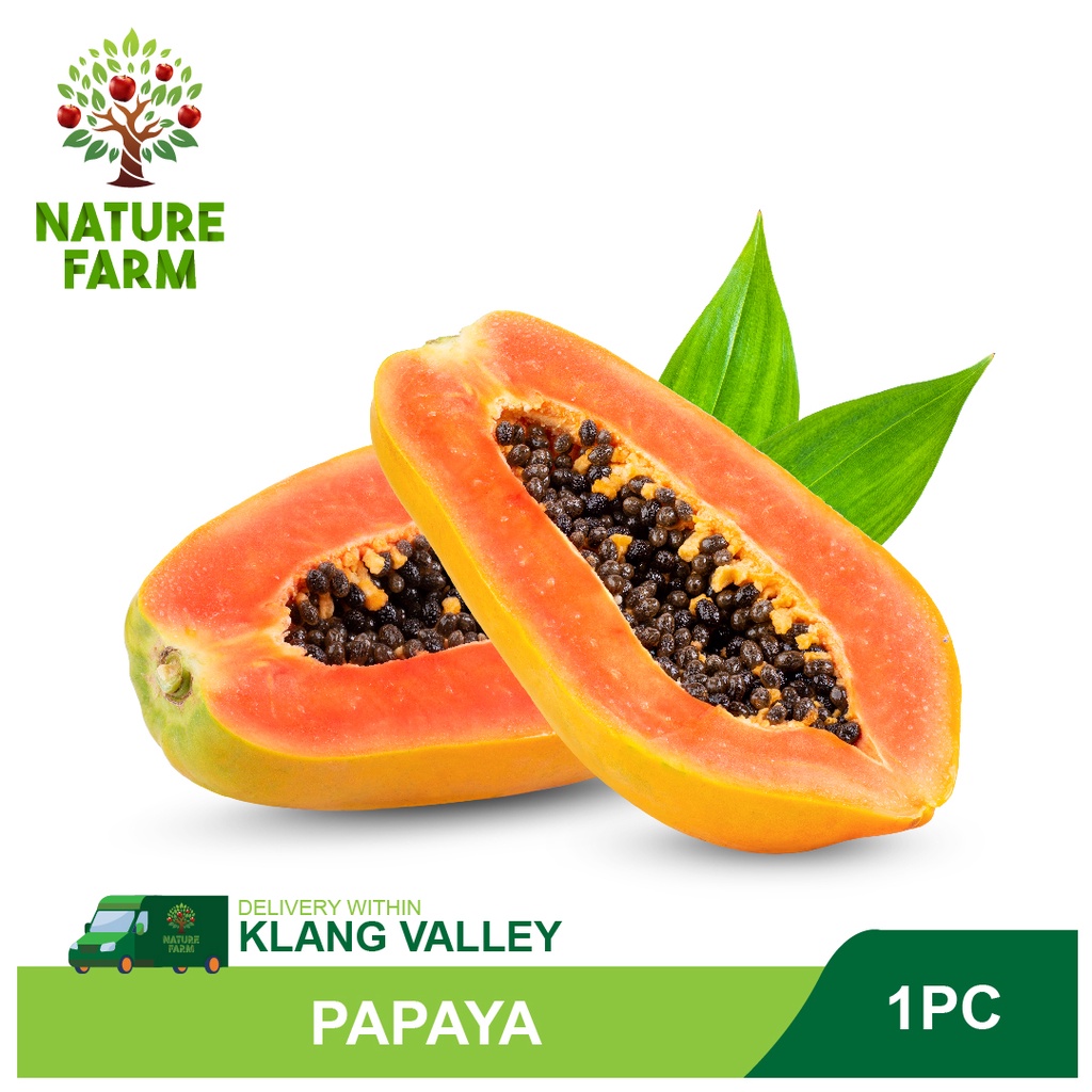 Nature Farm Papaya / Betik (1PC/PKT) | Shopee Malaysia