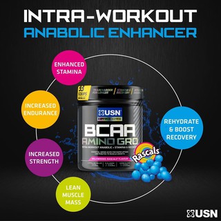USN BCAA Amino Gro Intra-Workout Anabolic Muscle Sports Drink | Shopee ...