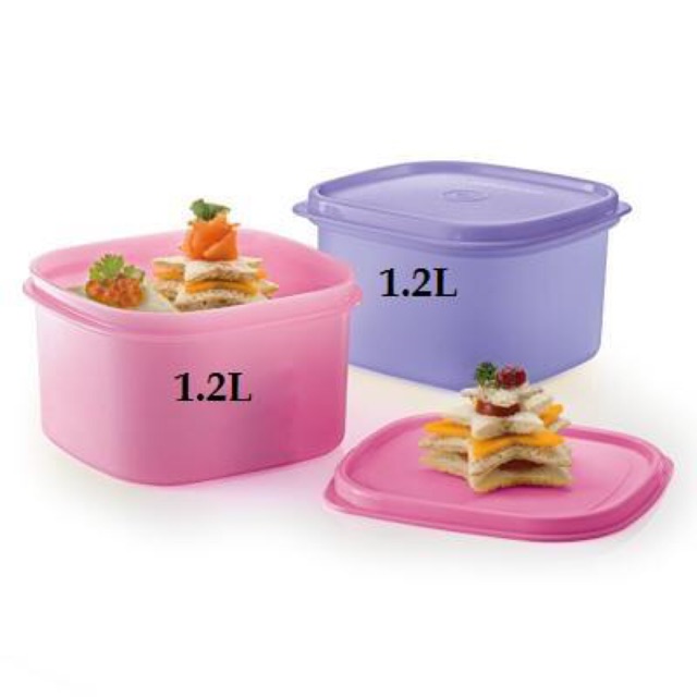 Tupperware Easy Pack 1.2L (2pcs) | Shopee Malaysia