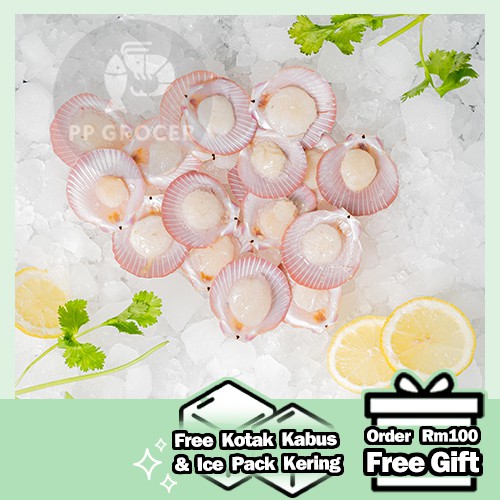 PP GROCER Half Shell Pink Scallop (500G/PKT) Frozen Seafood Frozen Food ...