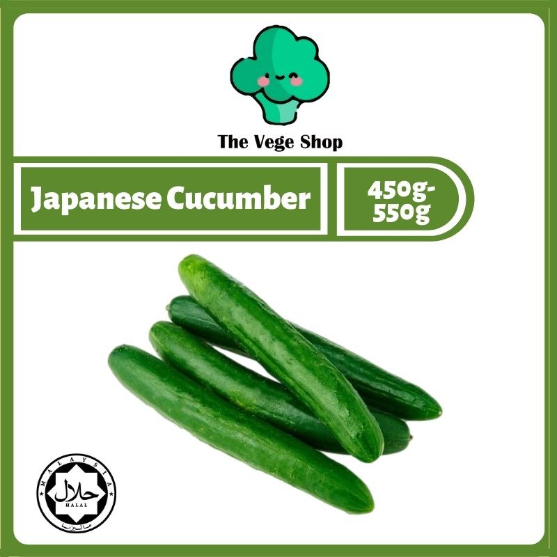 cucumber - Prices and Promotions - Jan 2023 | Shopee Malaysia