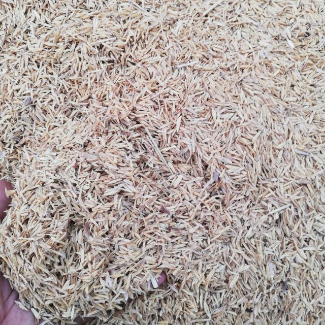 norfatihahamin, Online Shop | Shopee Malaysia