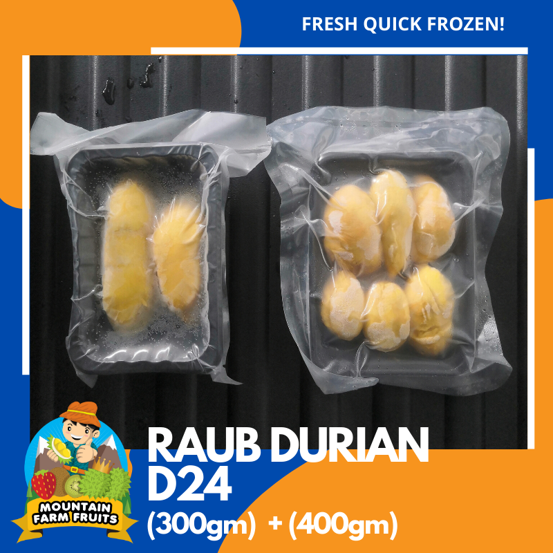Raub Durian D24 (300gm + 400gm) : Fresh Quick Frozen Pulp-Durian ...