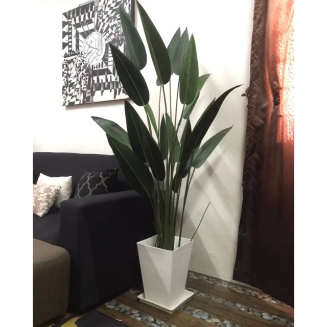 Pasu Petak Tinggi / Square Flower Pot (FBL 2453) / Pasu Bunga Petak ...