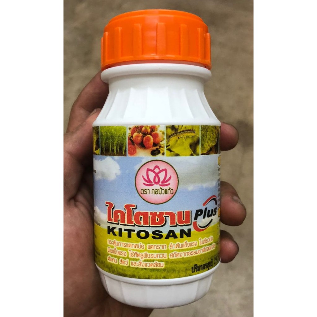Foliar KITOSAN Plus (290ml) Penawar Organik Untuk Kawalan Penyakit ...