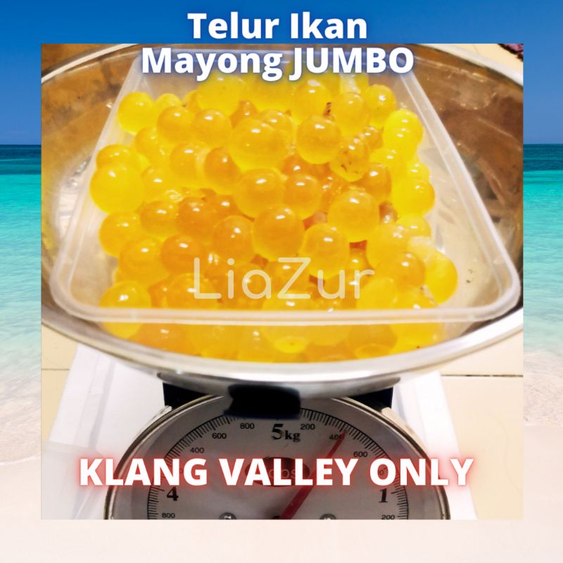 Telur Ikan Mayong JUMBO (Biji Telur Ikan Sebesar Guli) - [KL/Selangor ...