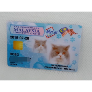 PVC CARD IC KUCING COMEL | Shopee Malaysia