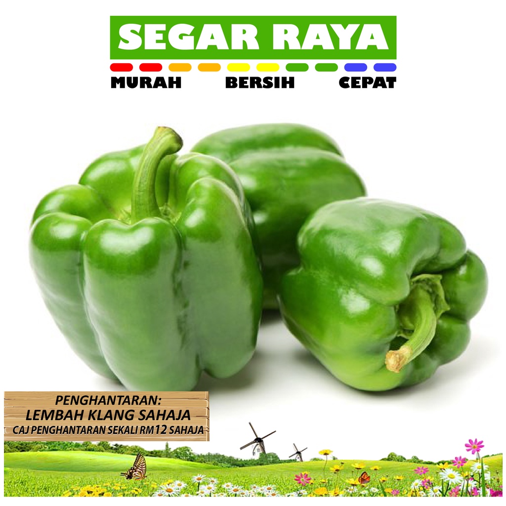 (1pc - 150g~250g) Lada Besar HIjau / Green Capsicum SAYUR SEGAR RAYA ...