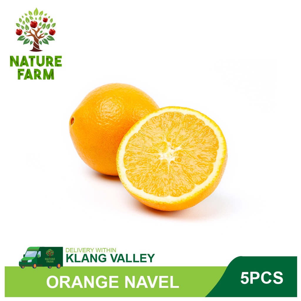 Nature Farm Fresh Orange Navel, L Size / Oren Navel (5PCS/PKT) | Shopee ...