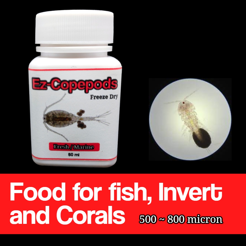 EZ-Copepods concentrated marine plankton ( freeze dry food for fish ...