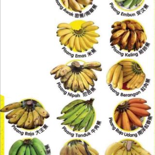 🇲🇾Ready Stock🇲🇾2kg Pisang Tali / Rastali / Banana Rastali🍌 | Shopee ...