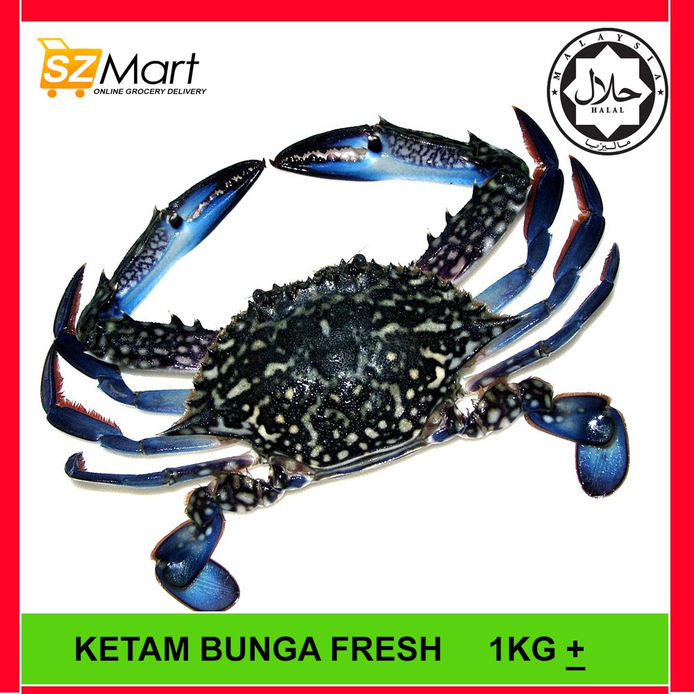 KETAM BUNGA FRESH (±1KG) [KLANG VALLEY ONLY] | Shopee Malaysia
