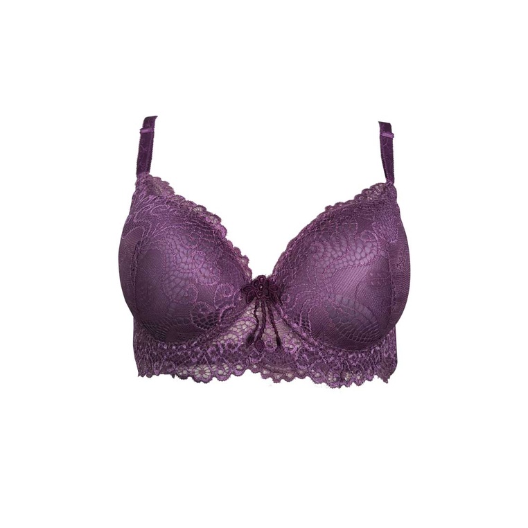 Hari-Hari - EV FASHION Women's Push Up Bra C Cup / Wired / Baju Dalam ...