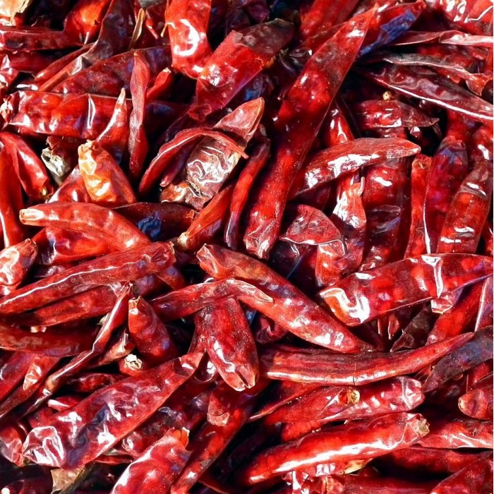 DRIED CHILI/ CILI KERING | Shopee Malaysia