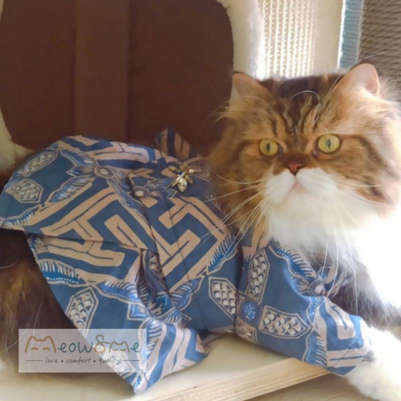 Baju Kucing / Baju Raya Kucing / Baju Melayu Kucing / Baju Kebaya ...