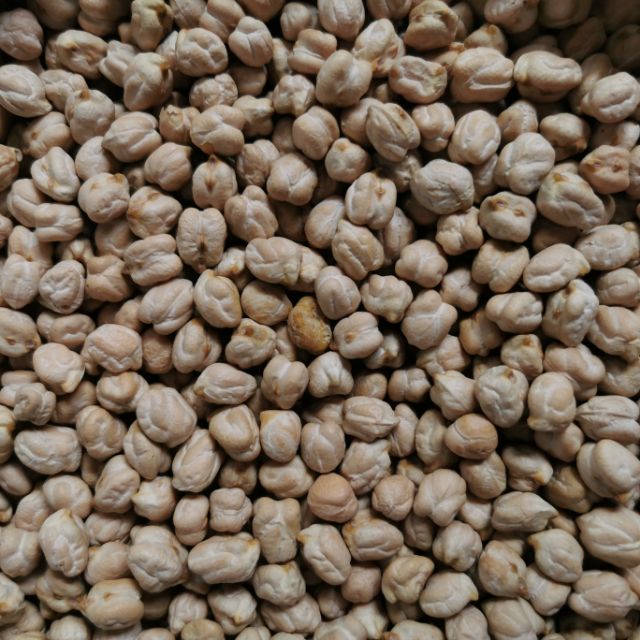 Kacang Kuda (Besar) (Mentah) 白馬豆 / 馬豆 / 鷹嘴豆 (大粒) (生) Chick Peas (Large ...