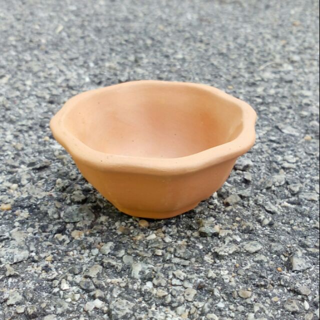 pasu kaktus - Cactus pot clay teracota - Please read the Product ...