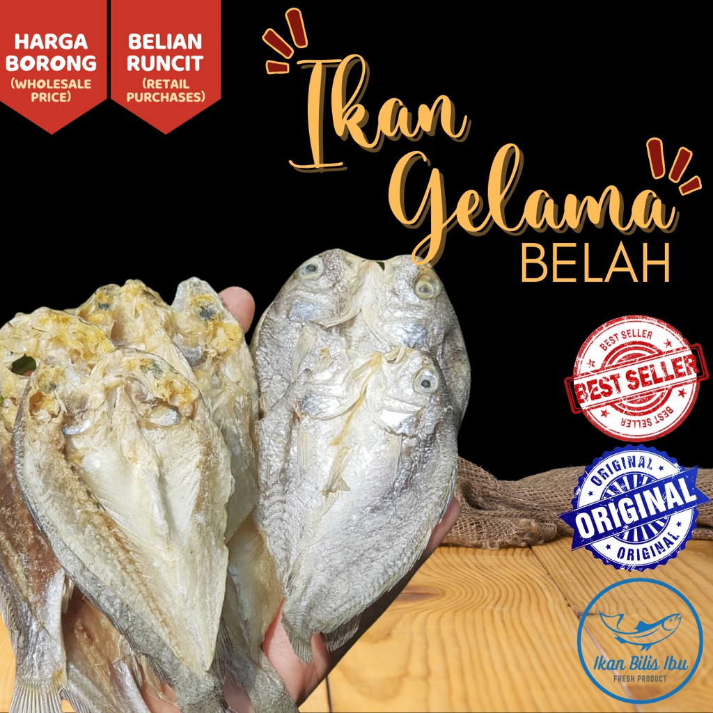 Ikan Gelama Belah Kering Nipis GRED 3A 500gram ~ Dried Fish | Shopee ...