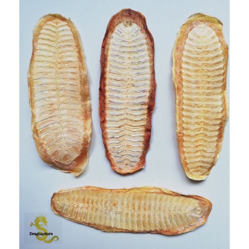 Ikan Tempel Kering - 1pcs | Shopee Malaysia