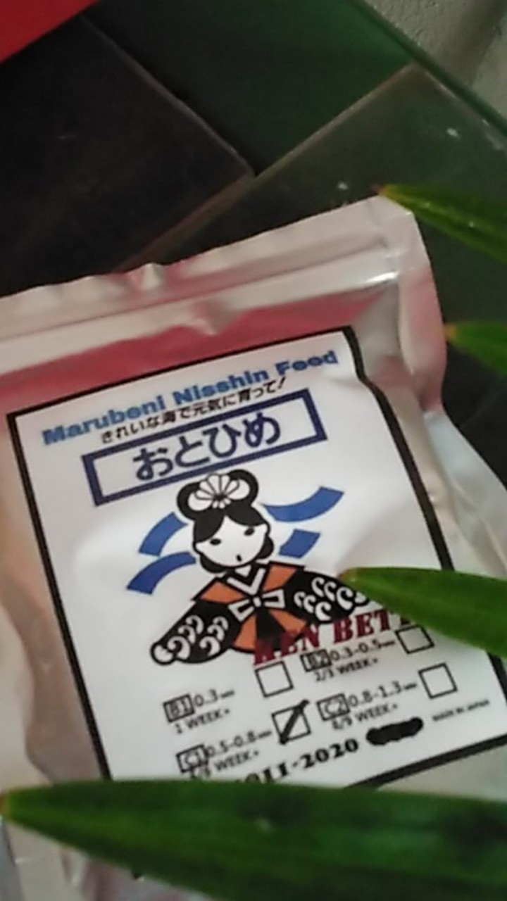 JAPAN OTOHIME Marubeni Nisshin Feed B1 B2 C1 C2 fish food pellet betta ...