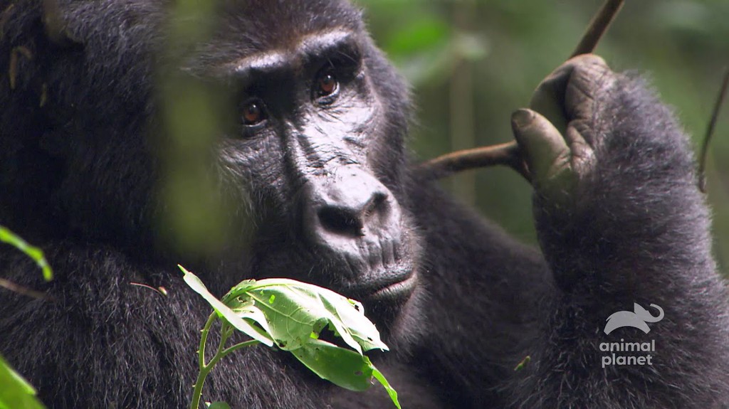 WENNO Official Store Online, September 2022 | Shopee Malaysia