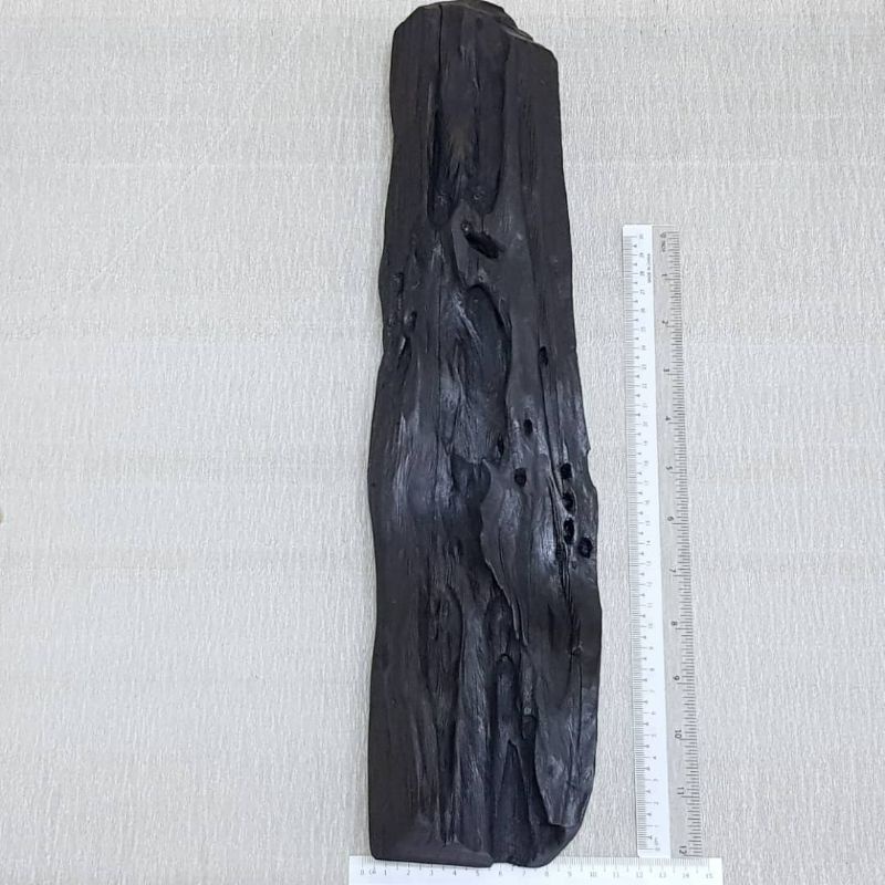 Teras Kemuning Hitam (100% ASLI) 1.3 kg | Shopee Malaysia