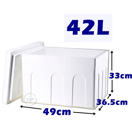 Styrofoam Ice Box (42L) / Cooler Box / Picnic box / Gabus / Foam Box ...