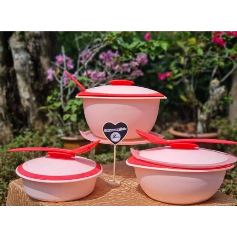 Bekas Hidangan Lauk Tupperware (Insulated Serveware) | Shopee Malaysia
