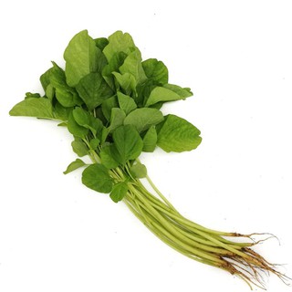 Benih Sayur Bayam Hijau Bulat Local Green Round Amaranth Vegetable Seed ...