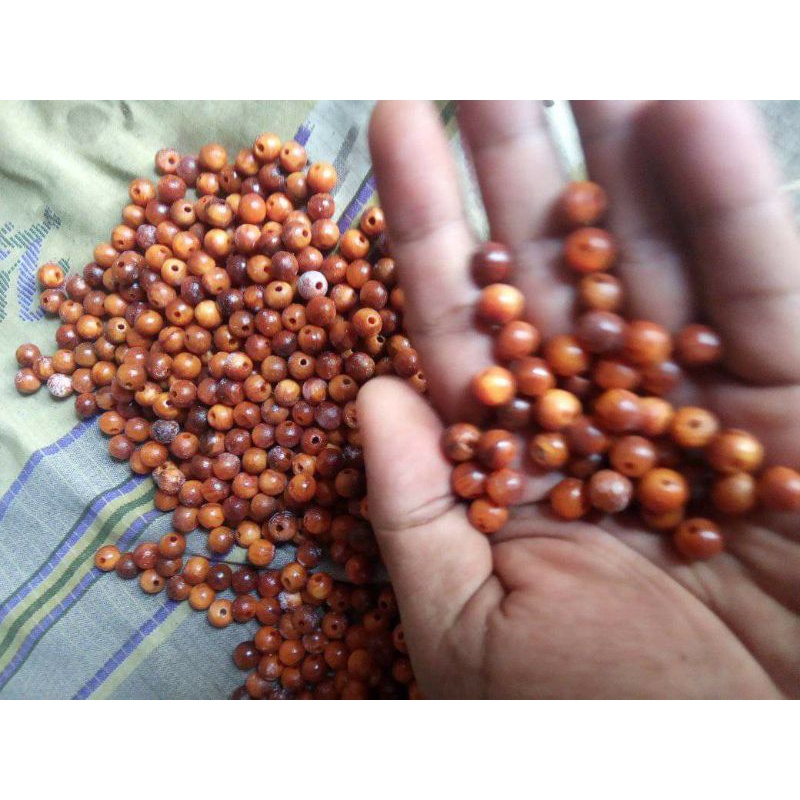 biji tasbih teras raja kayu saiz 8mm | Shopee Malaysia